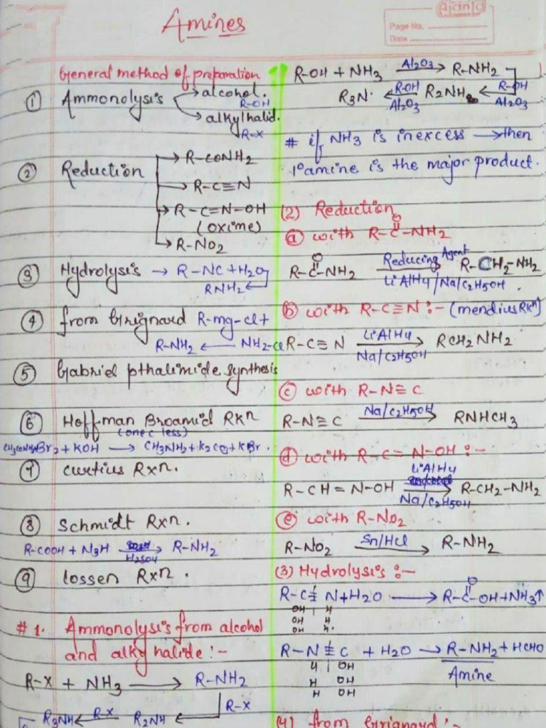 Amines Short Notes Pdf