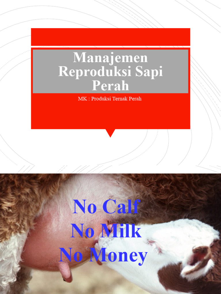 Manajemen Reproduksi Saper | PDF