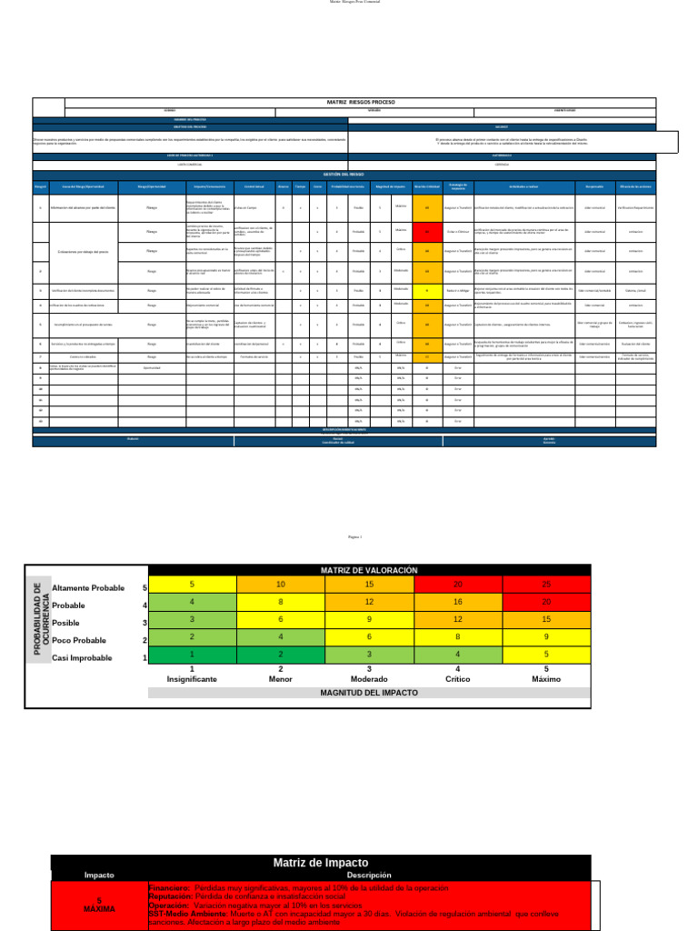 Matriz de Riesgos Comercial | PDF | Riesgo | Cliente