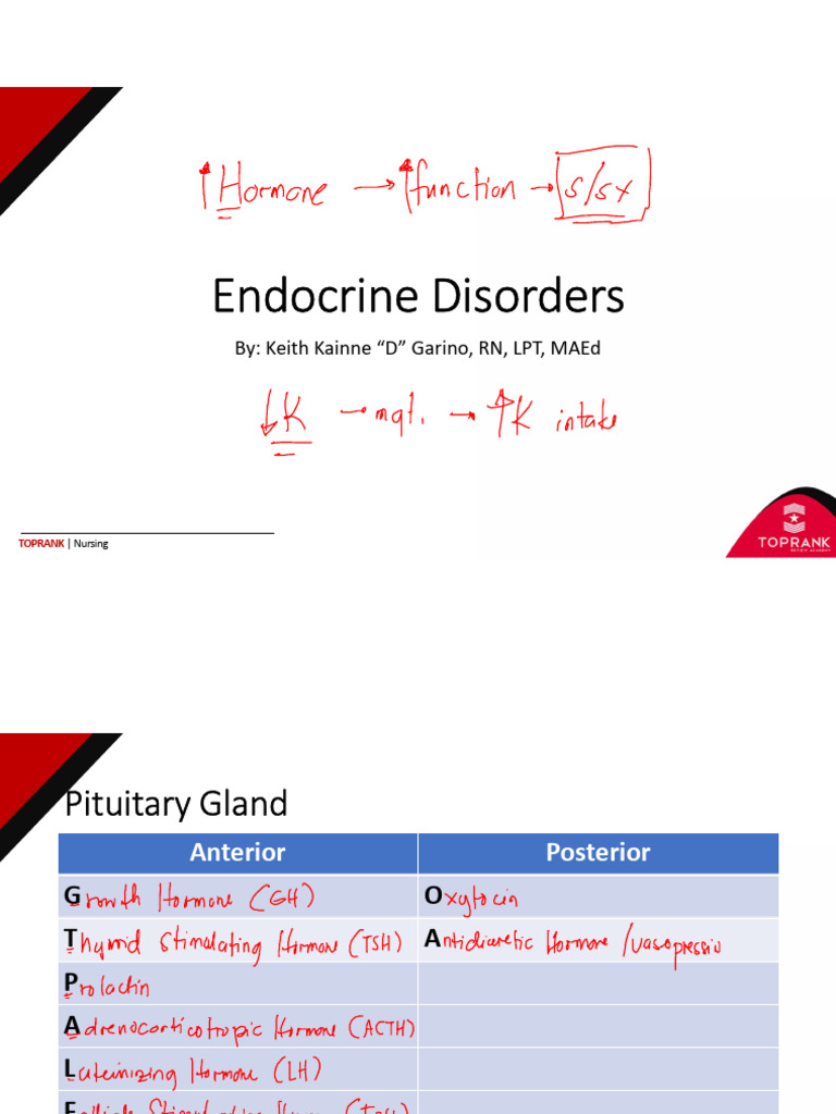 Endo Modified PDF | PDF | Hypothyroidism | Hyperthyroidism