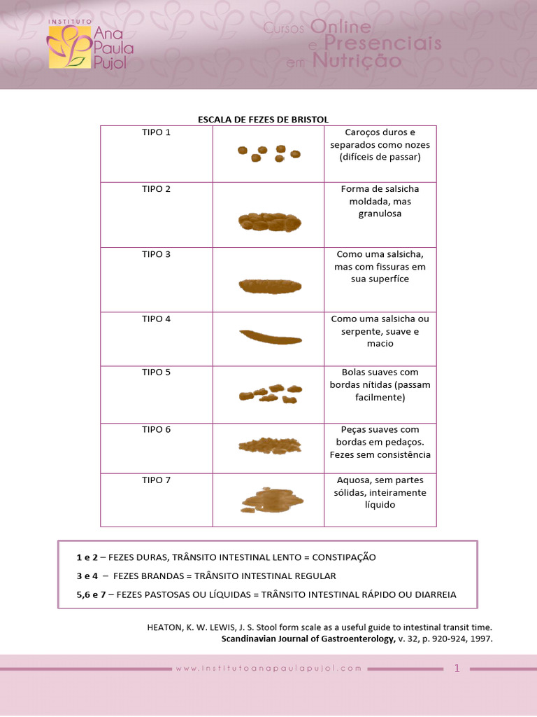 Escala de Fezes de Bristol: Guia Prático | PDF