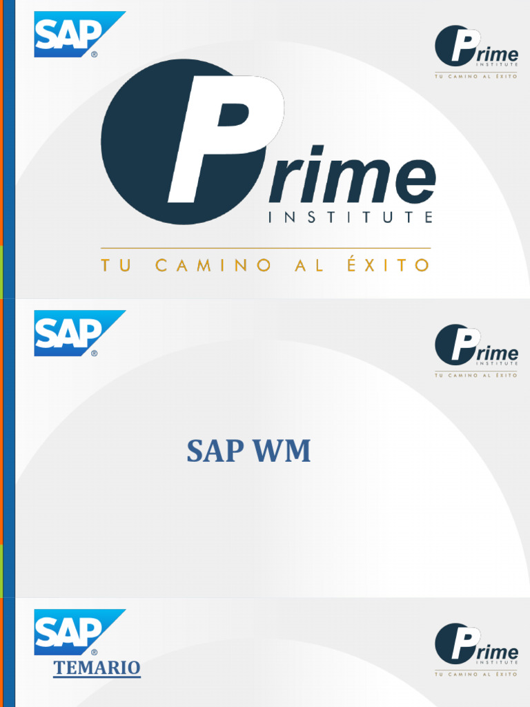 Sap Wms Pdf Almacén Tecnologías De La Información
