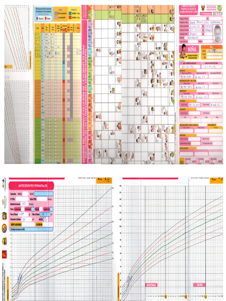 Carnet de Control | PDF