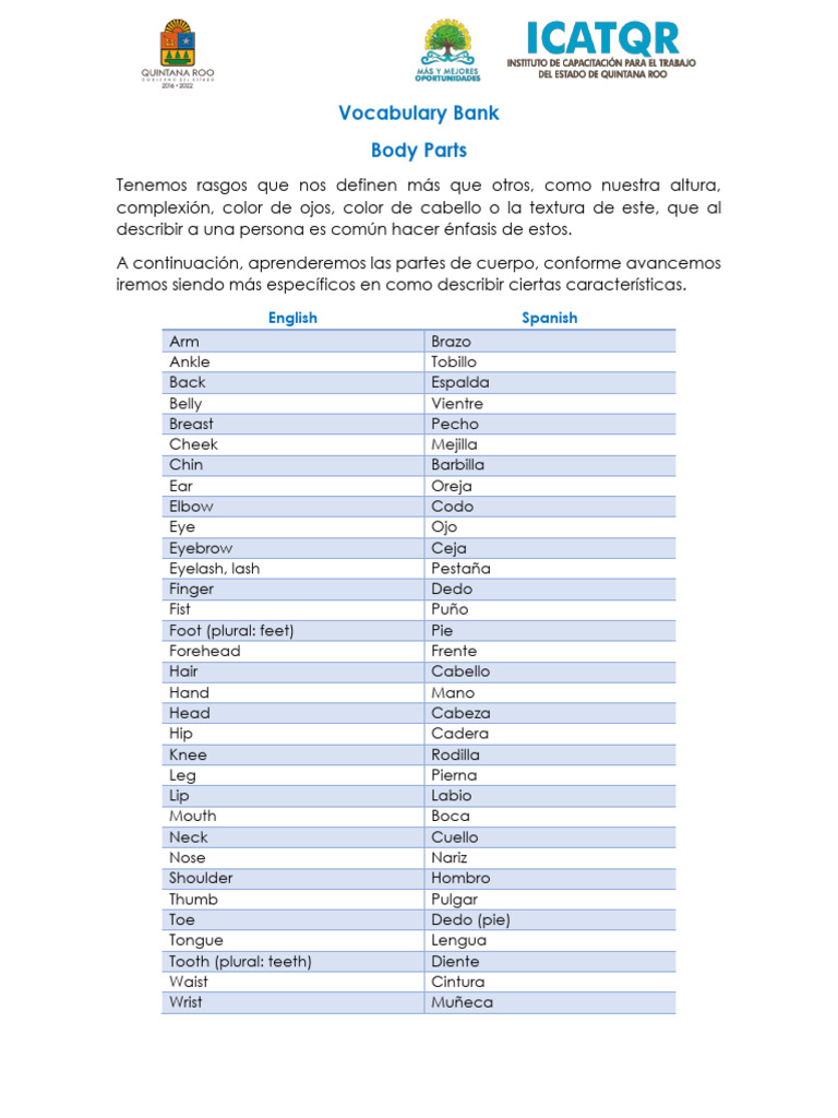 Vocabulary Bank Body Parts | PDF | Anatomía humana | Extremidades ...