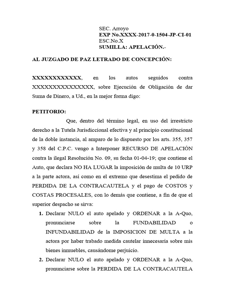 Modelo Apelacion de Auto Multa | PDF