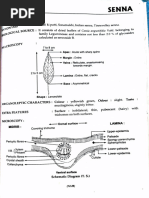 Birads Poster | PDF | Mammography | Breast