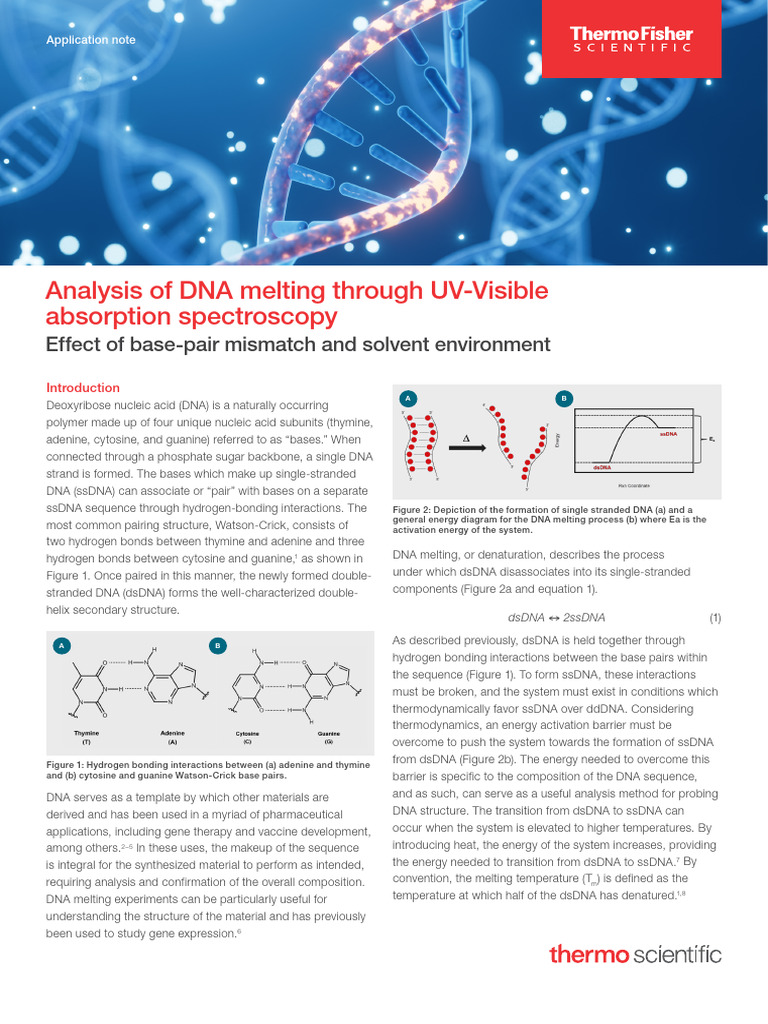 Analysis of DNA Melting Through UV-Visible | PDF | Nucleic Acid Thermodynamics | Dna