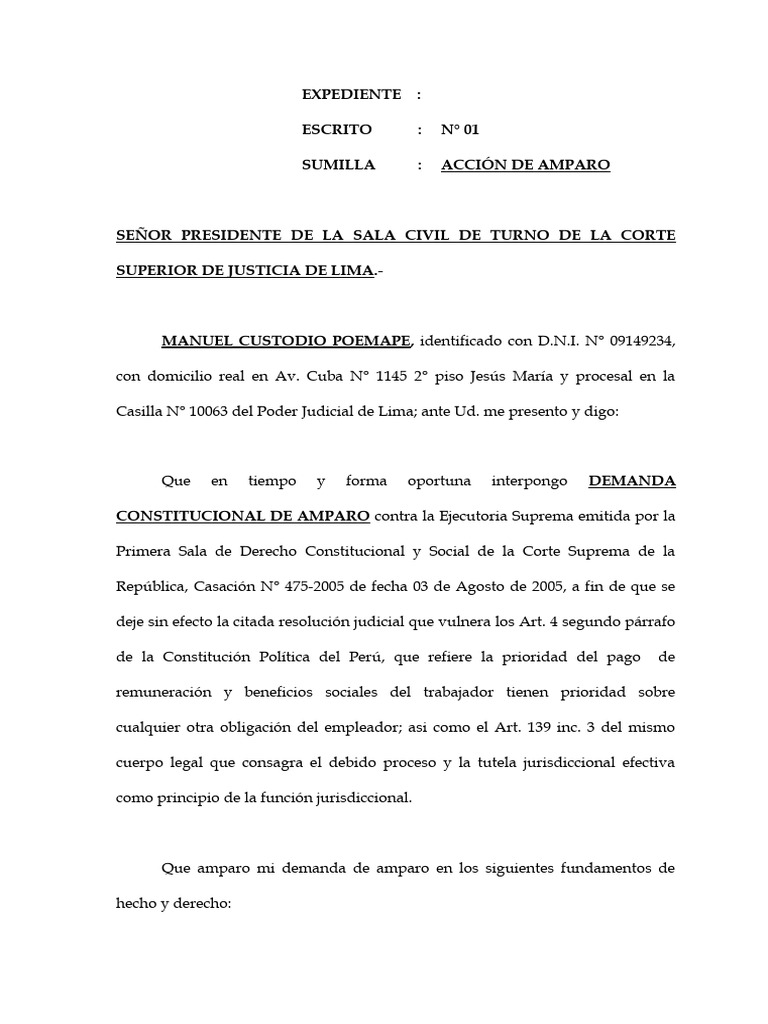 Accion de Amparo Custodio | PDF | Debido al proceso | Sentencia (ley)