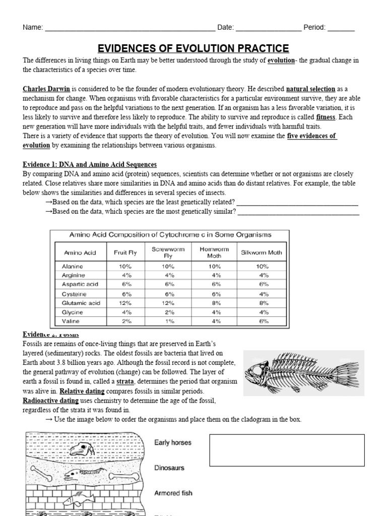Evidences of Evolution | PDF | Evolution | Genetics