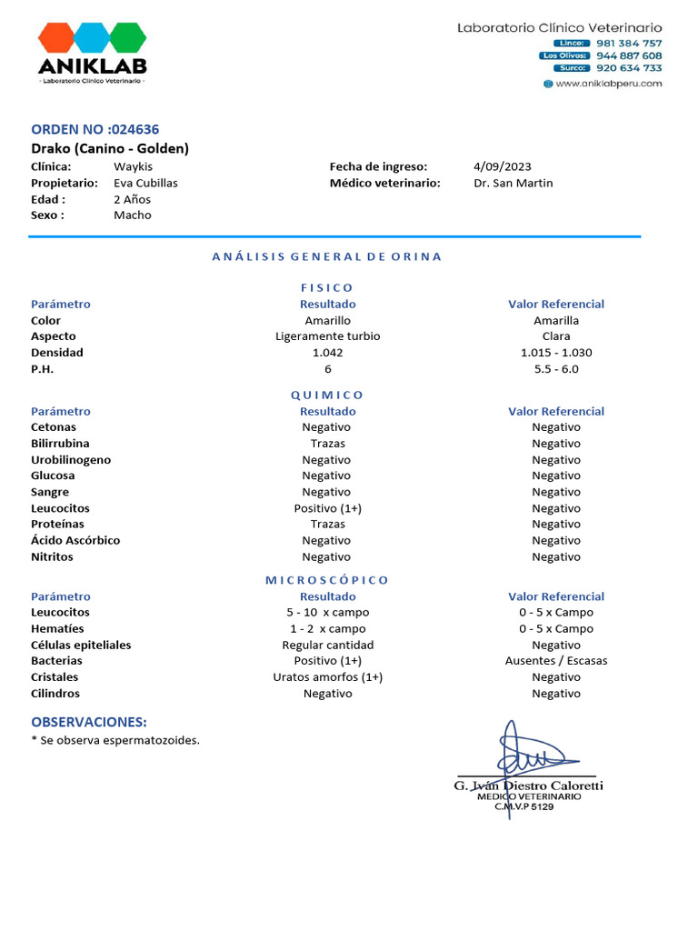 Drako Cubillas - Uroanalisis | PDF