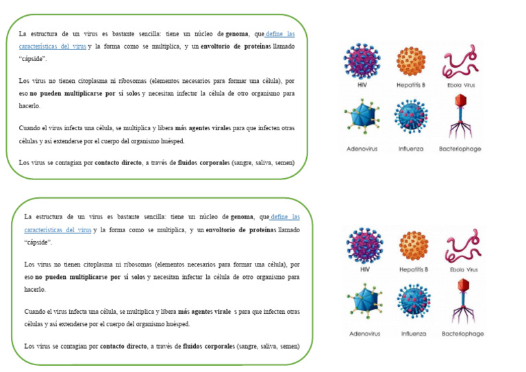 Estructura y Propagación de Virus | PDF