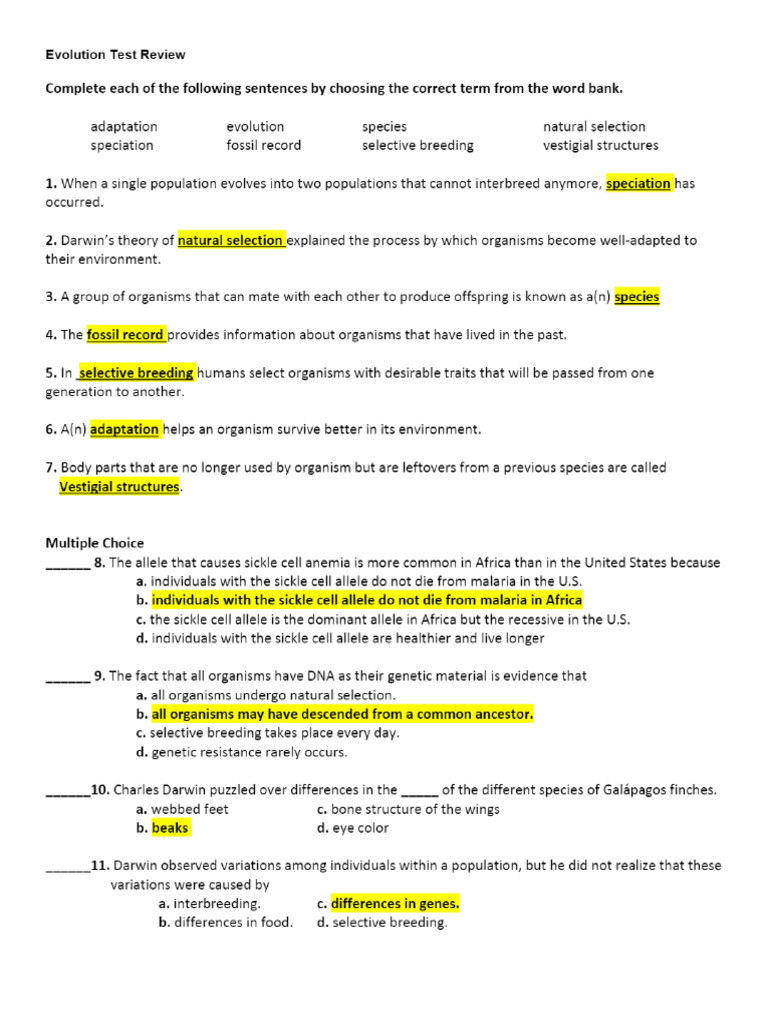 Evolution Test Review Answers | PDF
