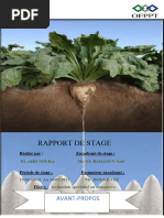 Processus Opérationnel D'obtention D'un Certificat BARID E-SIGN | PDF