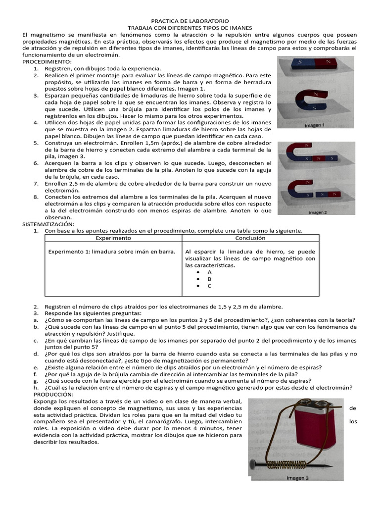 Experimentos Prácticos con Imanes | PDF | Imán | Magnetismo