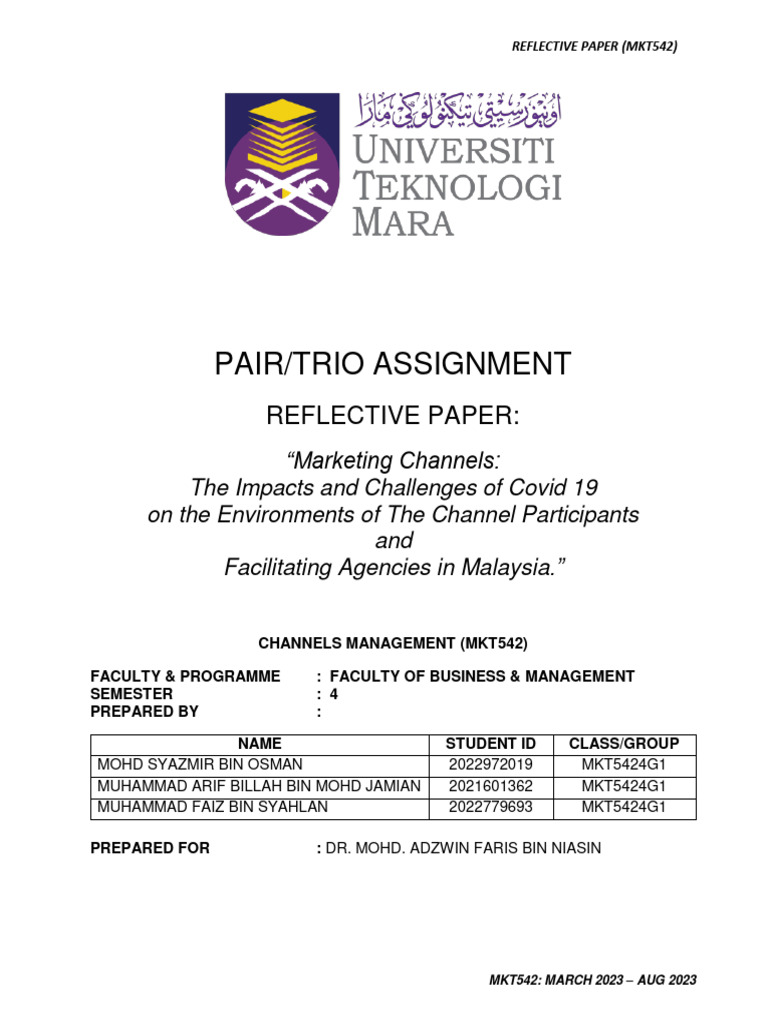 Mkt542 Assignment 1 Reflective Paper | PDF | Cost Of Living | Insurance