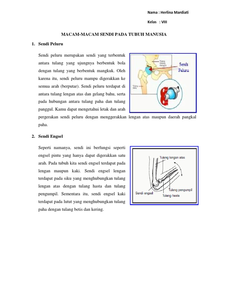 Macam-Macam Sendi | PDF