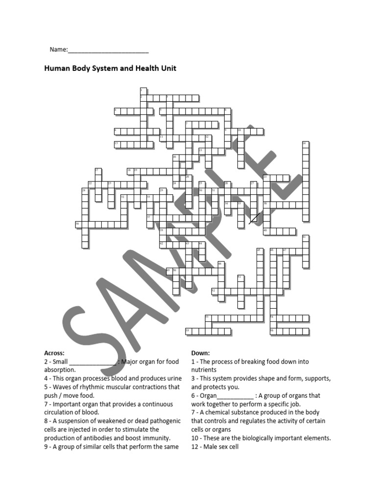 Human Body Unit Crossword Puzzle | PDF | Human Body | Digestion