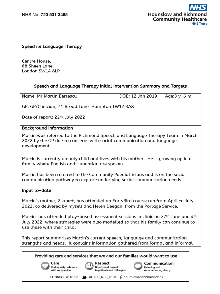 SLT Assessment Report MB July 22 | PDF | Communication | Understanding