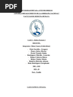 Foramen Ciático Mayor y Menor | PDF | Historia