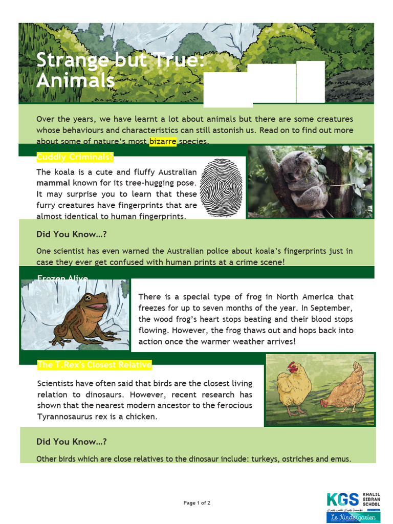 Strange But True Animals Reading Comprehension | PDF | Amphibian ...