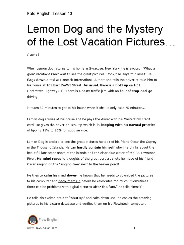 Lemon Dog and The Lost Pictures Part 1 | PDF | Computing