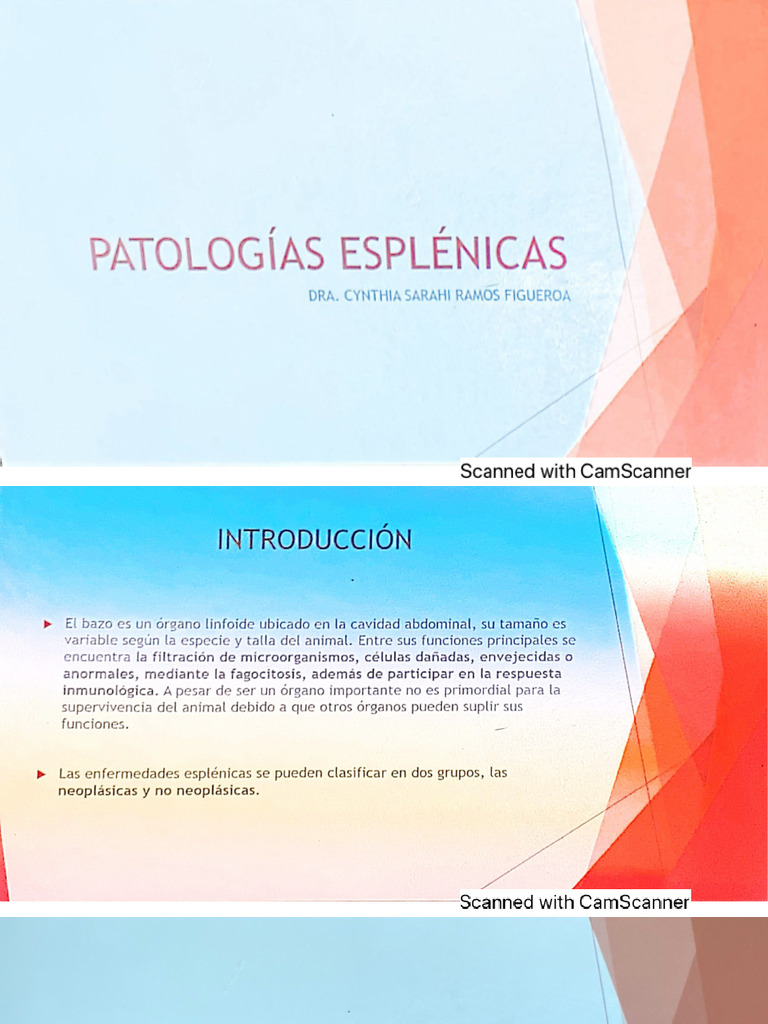 Patologías Esplénicas | PDF