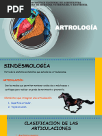 Anatomía Del Hueso Del Húmero Del Perro AnatomyLearner - El Lugar para ...