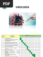 Clasificacion de Baltimore | PDF | Virus | Rna