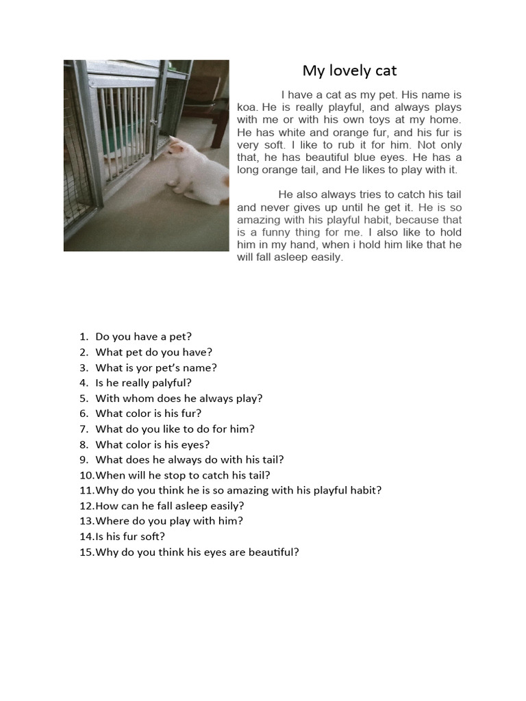 My Lovely Cat | PDF