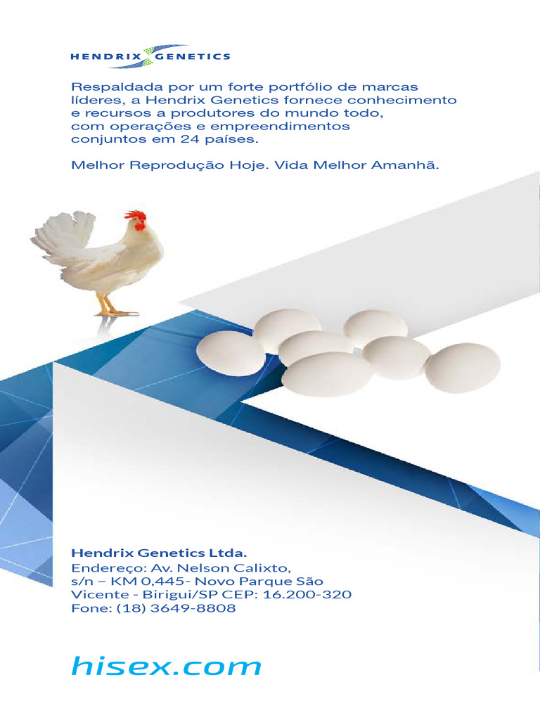 Guia do Produto: Hisex White | PDF | Bico | Ovo (alimento)