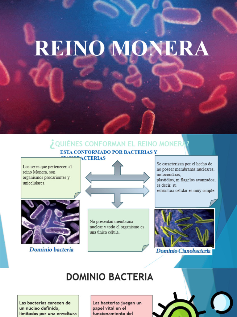 Reino Monera | PDF | Las bacterias | Biología Celular)