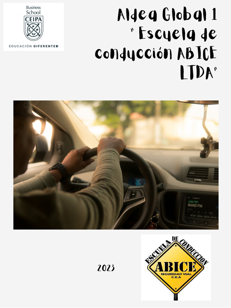 Análisis y Crecimiento de ABICE | PDF | Contabilidad | Business