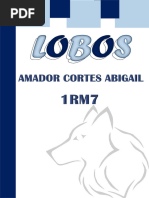 Anexo Lobos Continuemos Estudiando | PDF | Zoología
