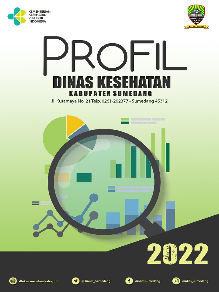 Profil Dinkes Tahun 2022 | PDF