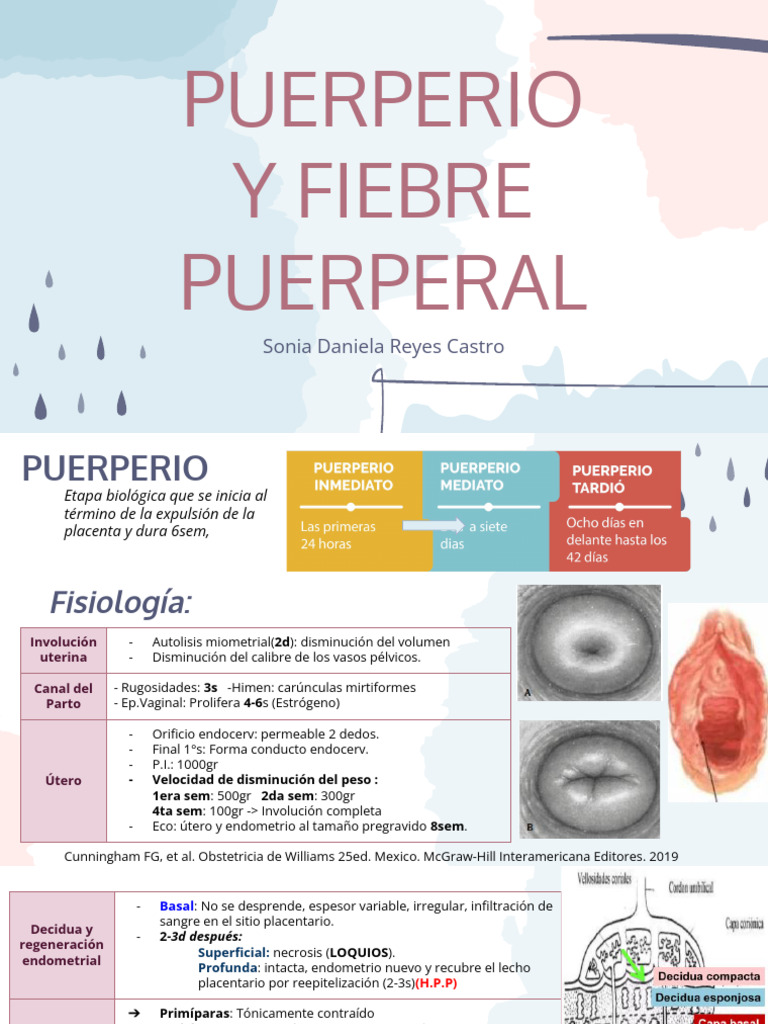 Puerperio y Fiebre Puerperal | PDF