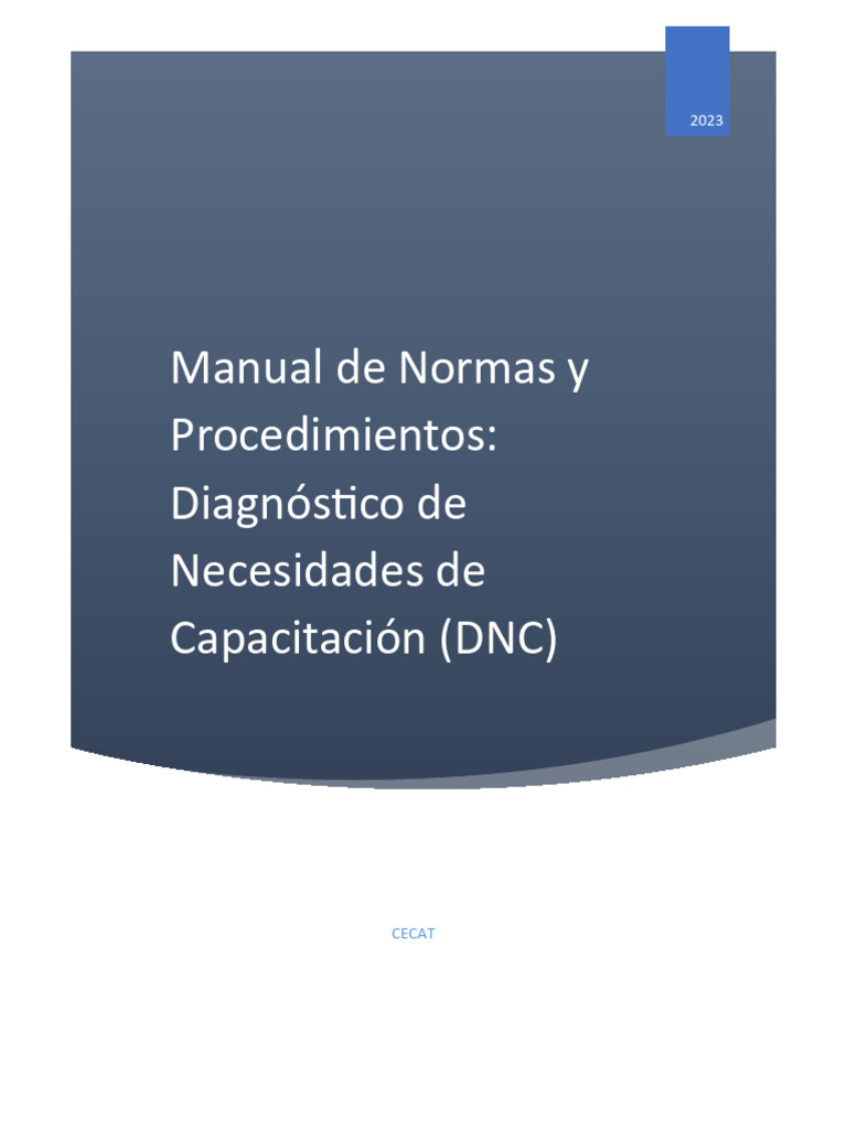 Ejemplo DNC | Descargar gratis PDF | Gestión de recursos humanos | Business