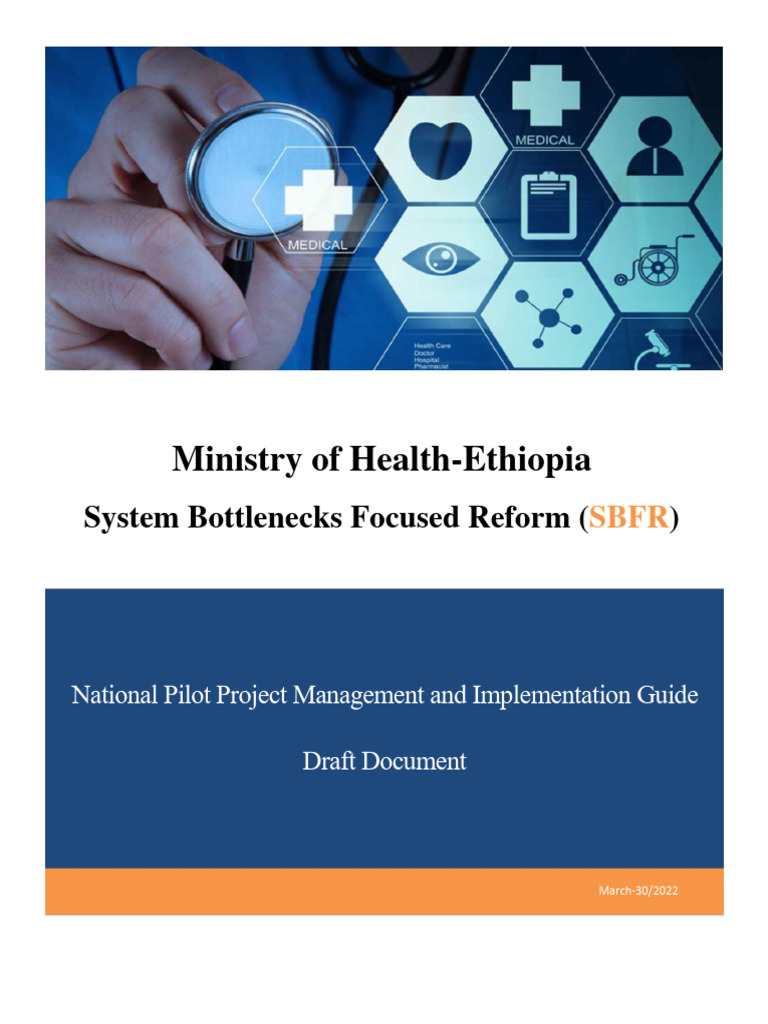 SBFR Project Document March | Download Free PDF | Nursing | Health Care