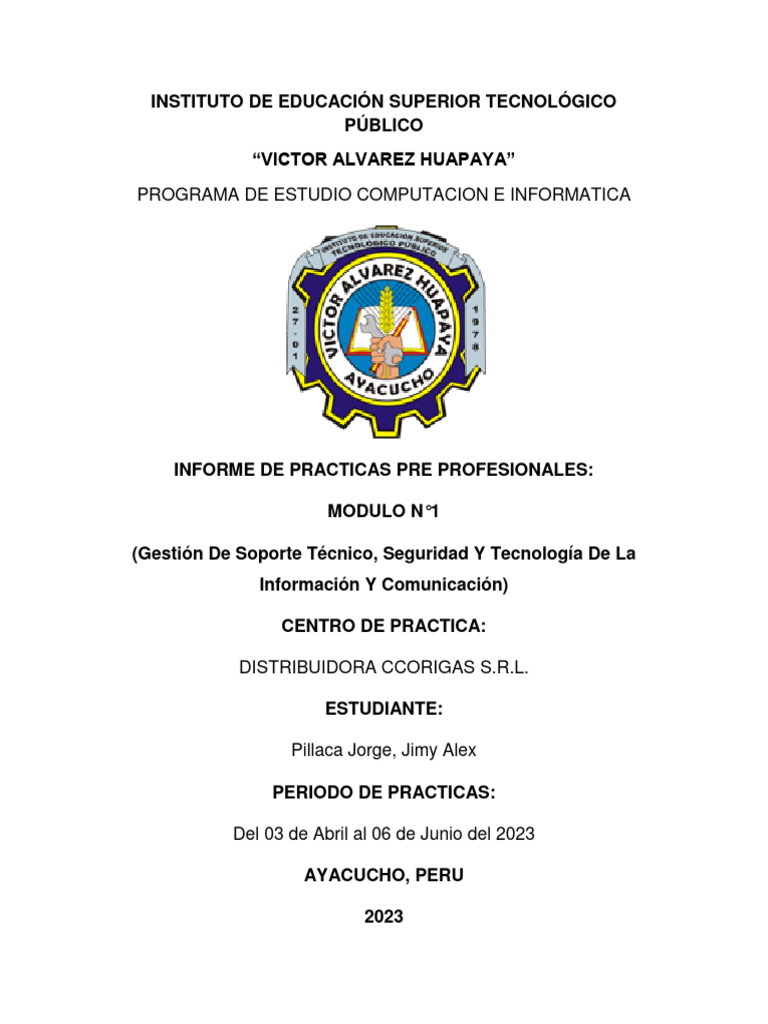 Informe Jimmy | PDF | Business | Informática