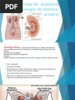 Controle de Diurese em Enfermagem | PDF | Enfermagem | Micção
