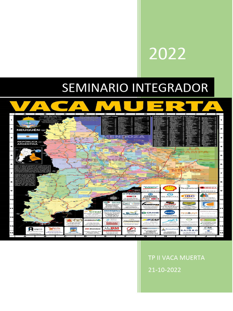 TP Vaca Muerta Adriana Perez | PDF