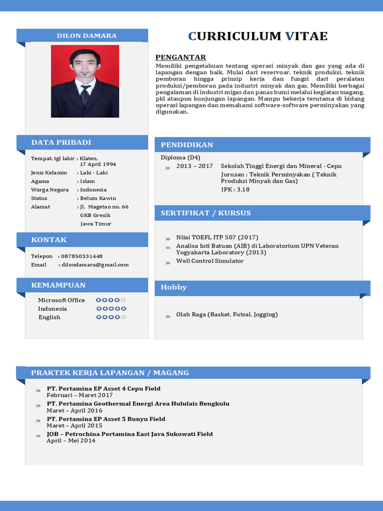 CV Dilon Damara untuk Pertamina | PDF