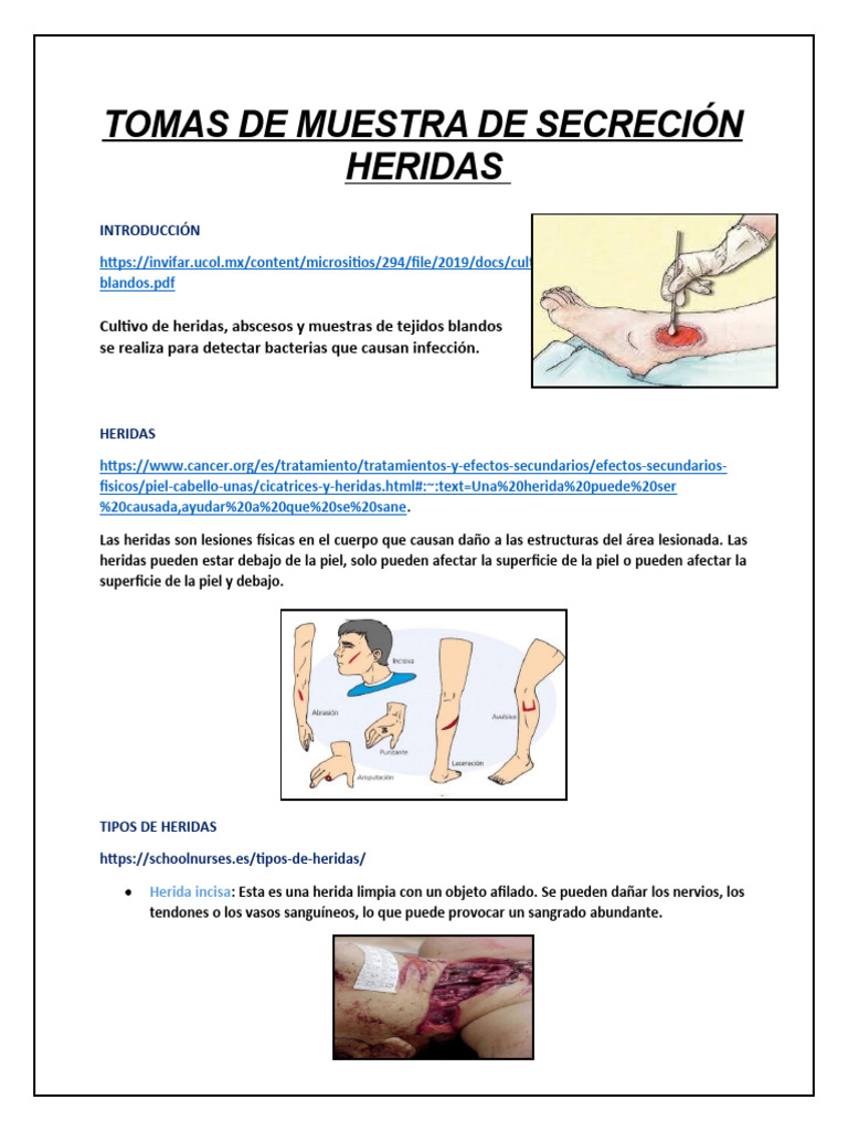 Secreción Heridas | PDF | Herida | Especialidades Medicas