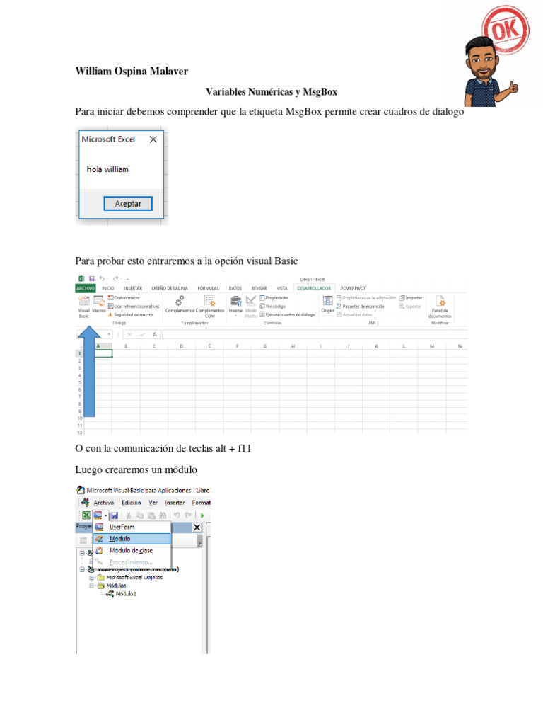 Guia 3 Variables Numericas y MsgBox | PDF