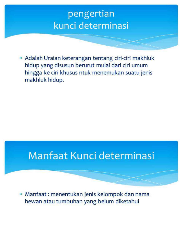 Kunci Determinasi Kelas 7 | PDF