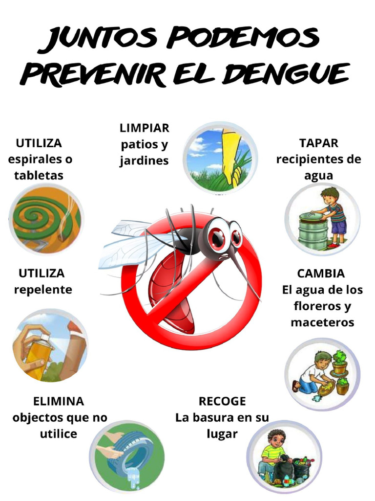 Infografia Del Dengue | PDF
