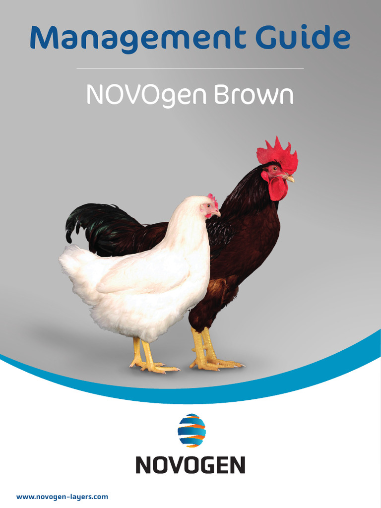 PS Management Guide Novogen Brown GB v3 | PDF | Chicken | Birds