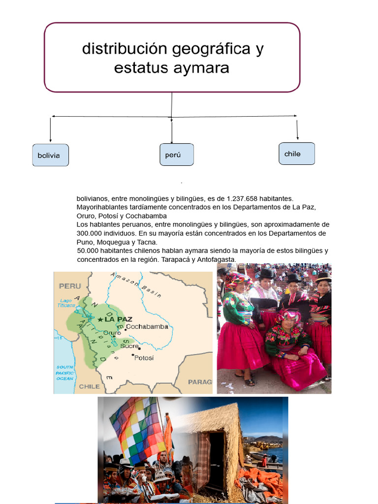 La Lengua Aymara | PDF | Fonética | Comunicación humana