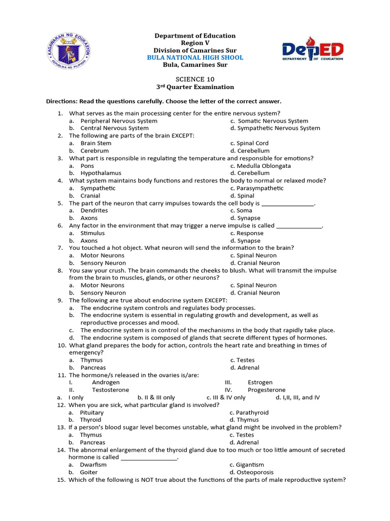 3rd Quarter Exam Science 10 | PDF | Neuron | Nervous System