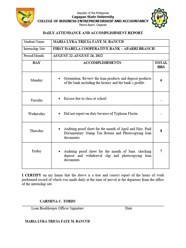 Daily Accomplishment Report Lyka | PDF | Business Economics | Money