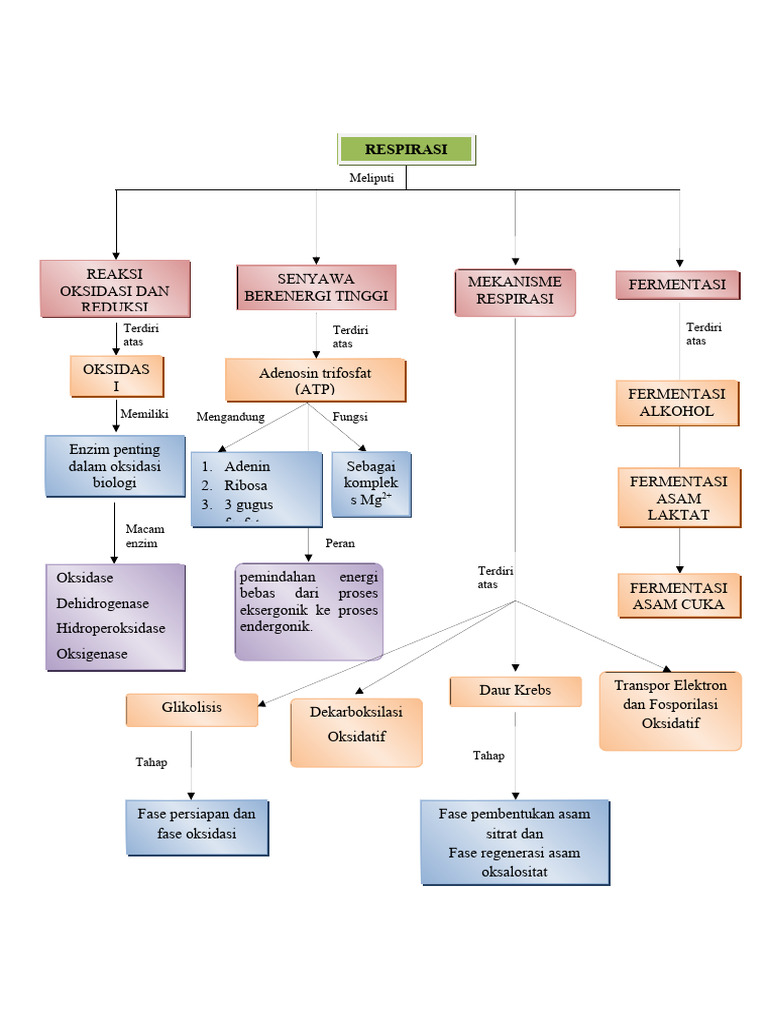 Peta Konsep Kel 5 B | PDF